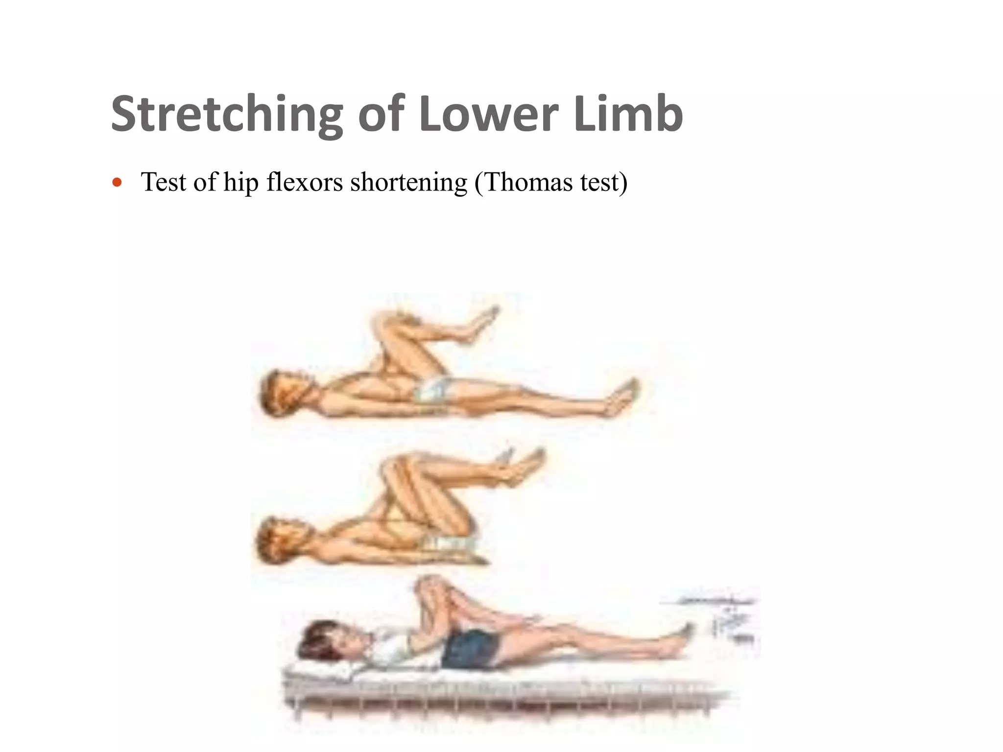 Stretching Exercises.ppt