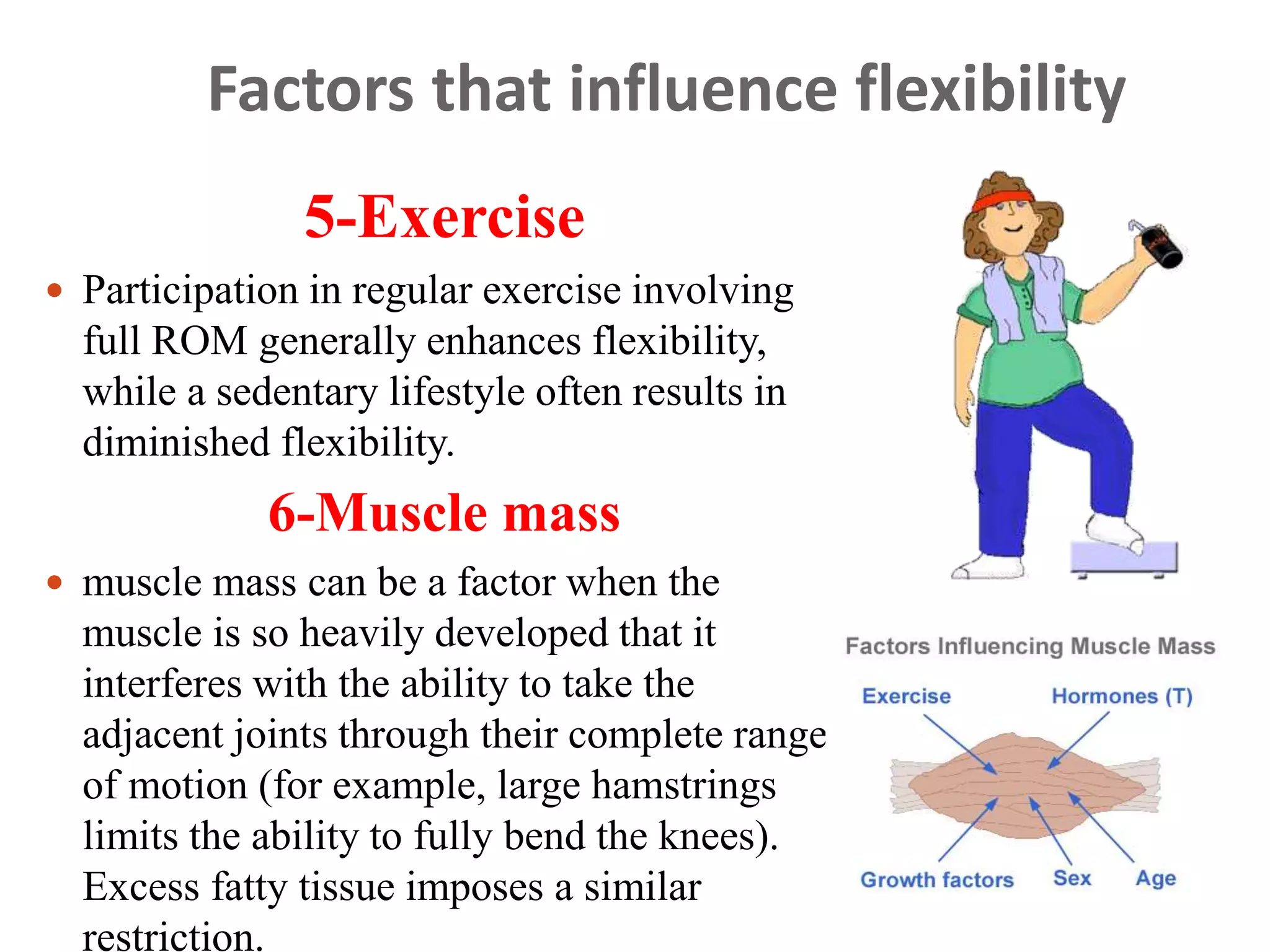 Stretching Exercises.ppt