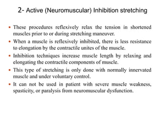 Stretching Exercises.ppt