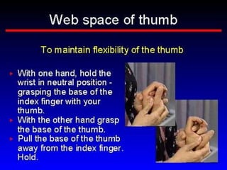 Stretching Exercises.ppt