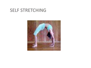 Stretching Exercises.ppt