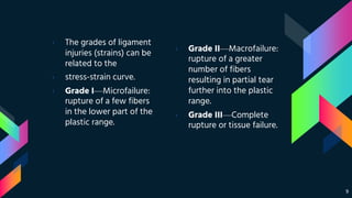 Stretching lec 2 | PPTX
