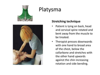 Stretching Neck region.pptx