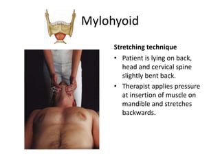Stretching Neck region.pptx @Dr.Muskan Rastogi (PT) BPT,MPT(OBG) | PPTX