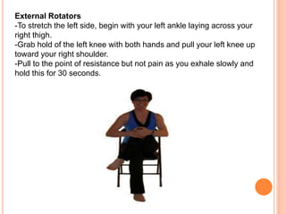 Stretching of hip joint muscles | PPTX