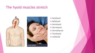 Stretching of musclesSS (1).pdf