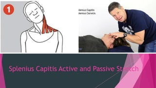 Stretching of musclesSS (1).pdf