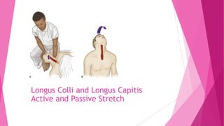 Stretching of musclesSS (1).pdf