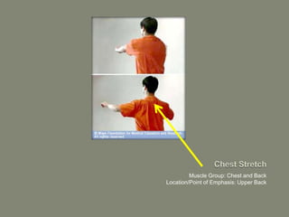 Stretching Power Point | PPTX