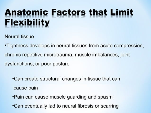 Stretching Exercises | PPT | Physical Therapy | Wellness