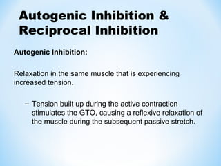 Stretching Exercises | PPT | Physical Therapy | Wellness