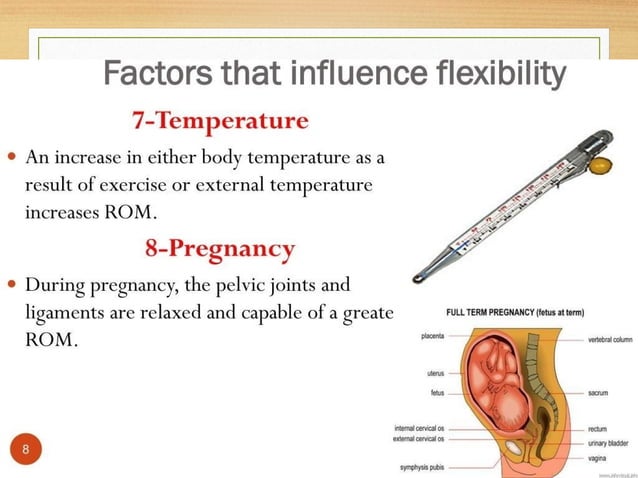 stretching third sem.pptx EXERCISE THERAPY TECHNIQUES | PPT