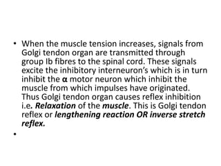 Stretch reflex 1 Internal ear 1 by P.R.Desai Prof & HOD Physiology ...