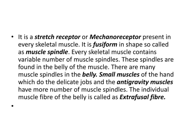 Stretch reflex 1 Internal ear 1 by P.R.Desai Prof & HOD Physiology ...