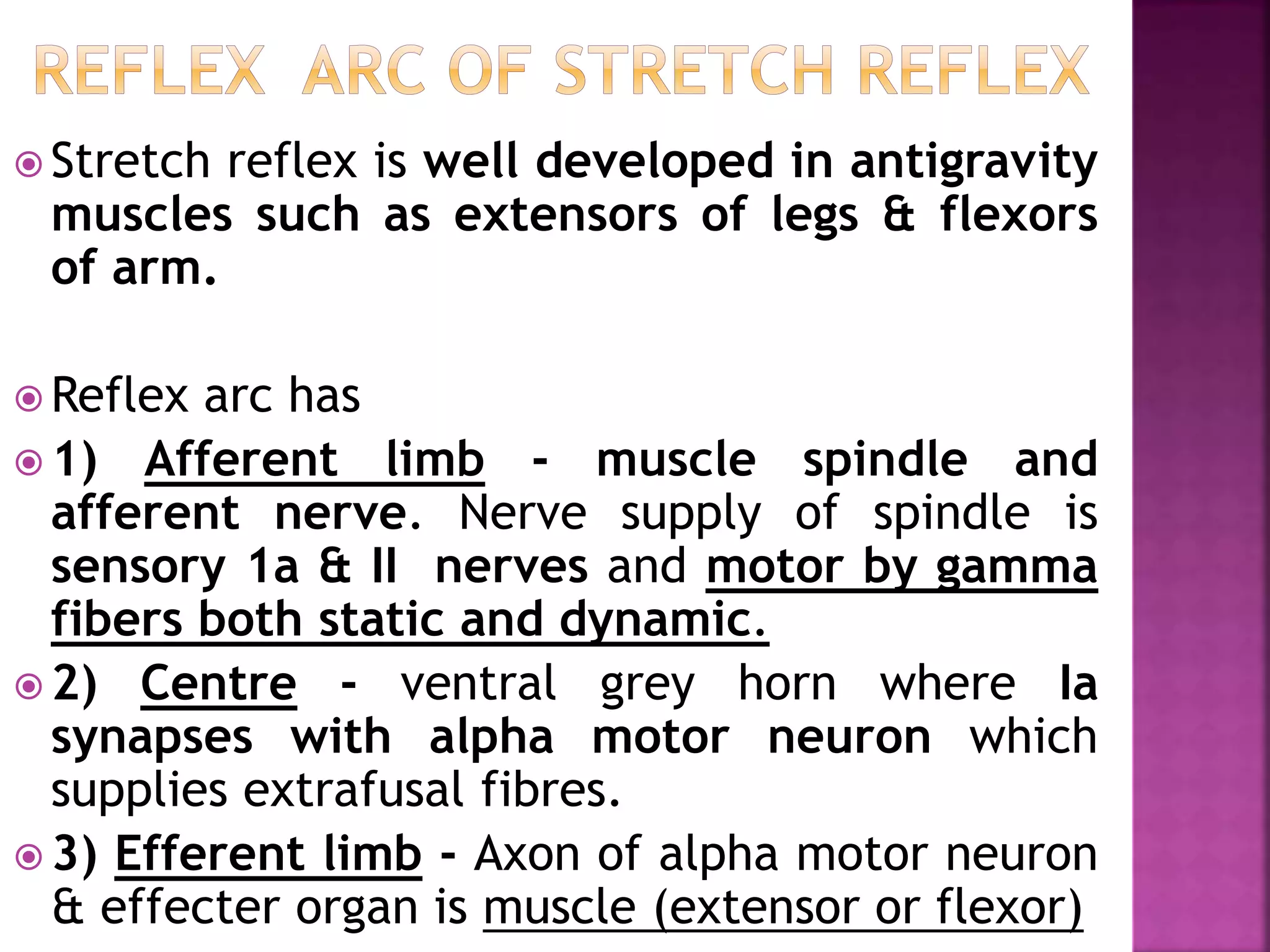 Stretch reflex | PPTX | Brain and Nervous System Disorders | Diseases ...