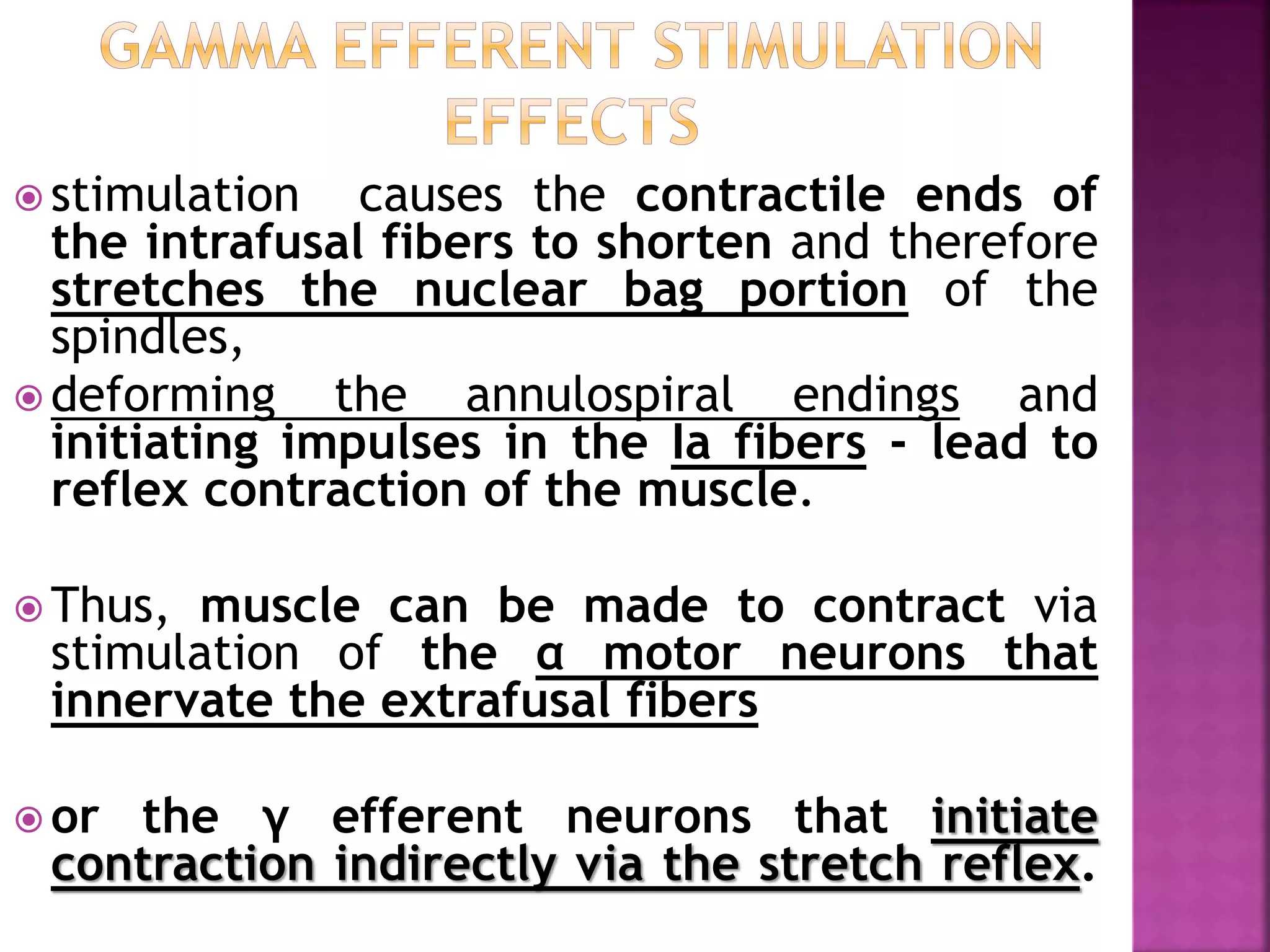 Stretch reflex | PPTX | Brain and Nervous System Disorders | Diseases ...