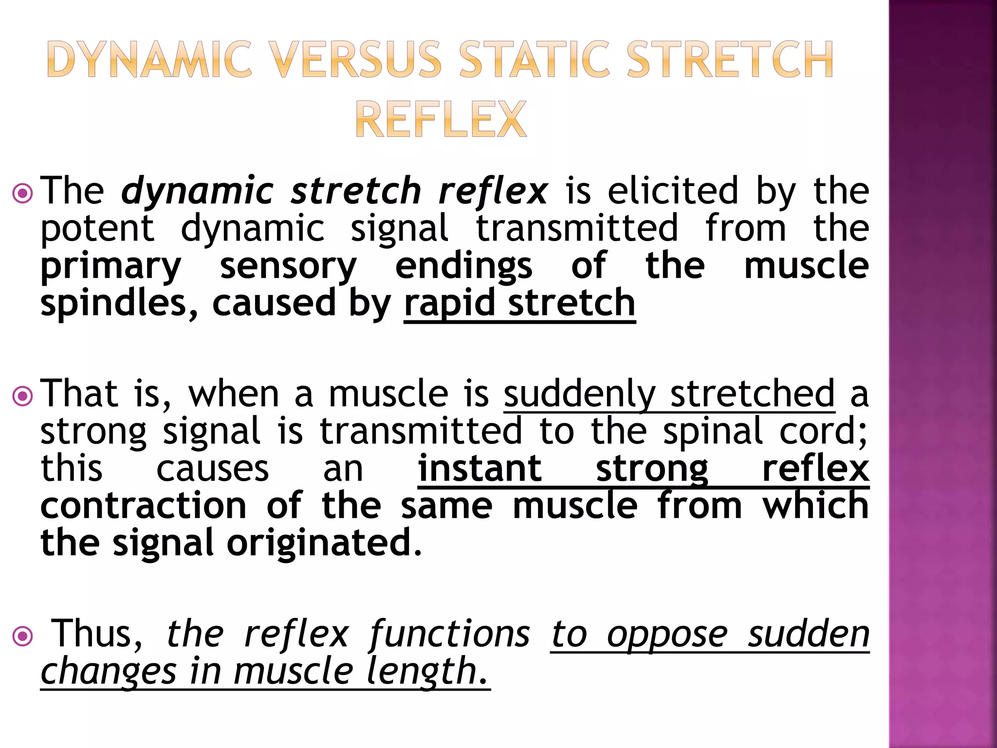 Stretch reflex | PPTX | Brain and Nervous System Disorders | Diseases ...