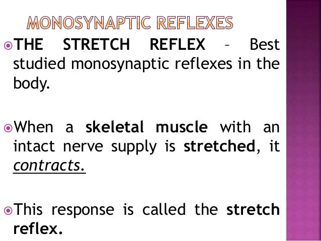 Stretch reflex
