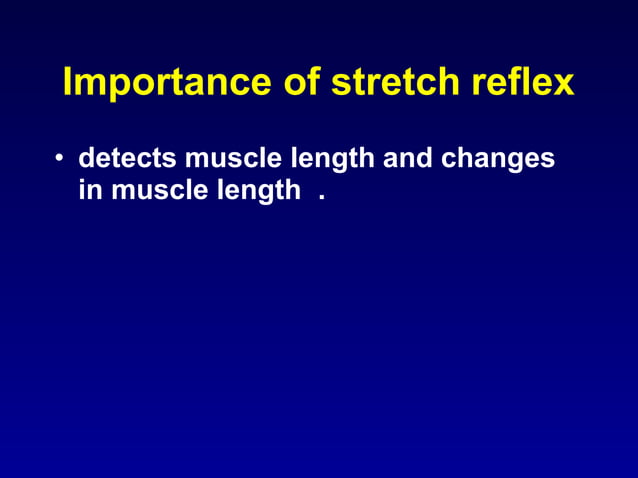 motor nervous system : Stretch reflex | PPTX | Brain and Nervous System ...