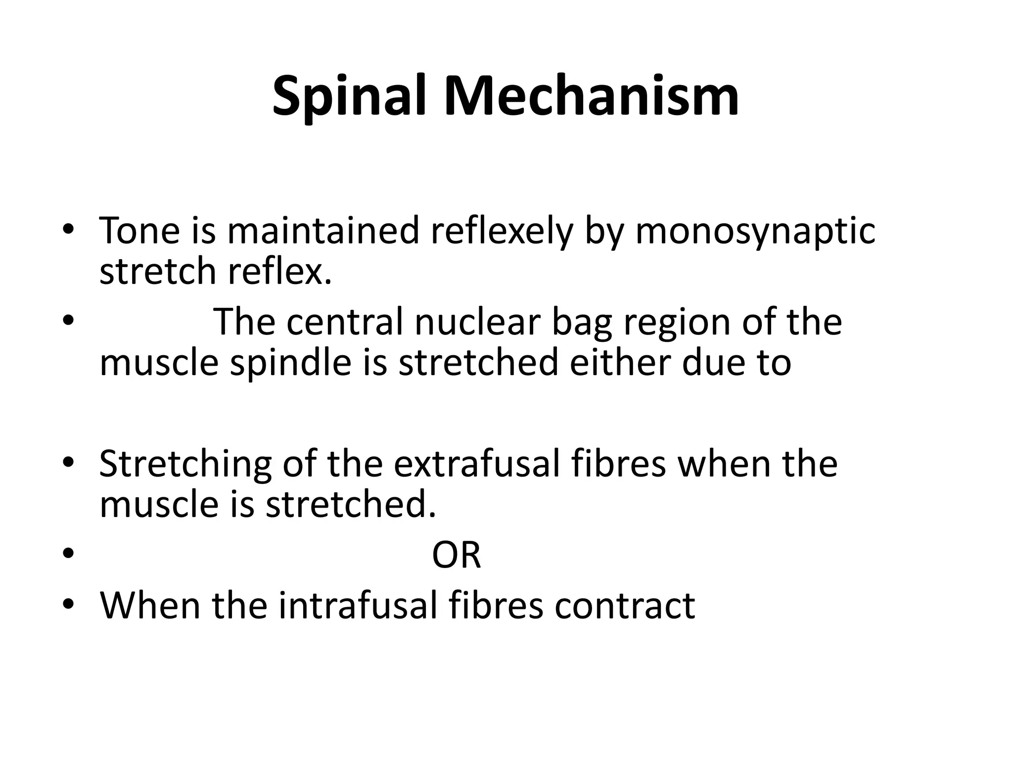 Stretch reflex 2 Internal ear 1 by P.R.Desai Prof & HOD Physiology ...