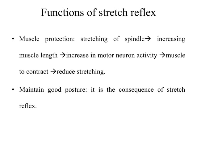 Stretch reflex