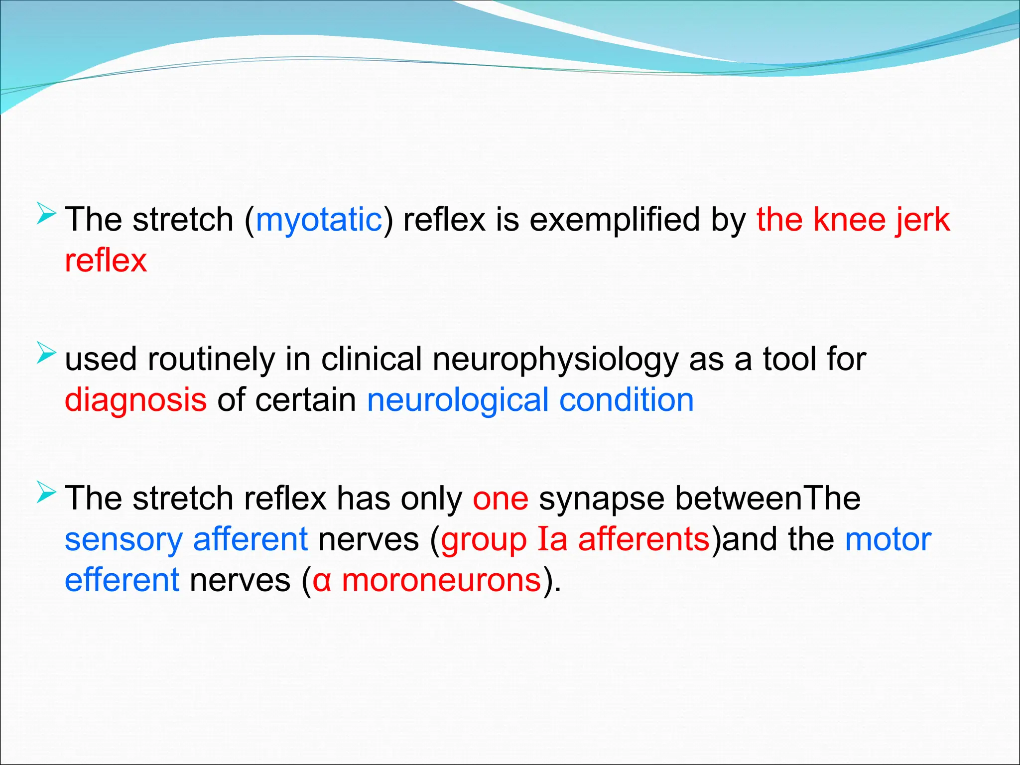 stretch reflex part use, examples, types | PPT