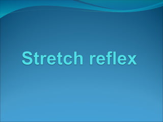 stretch reflex part use, examples, types | PPT