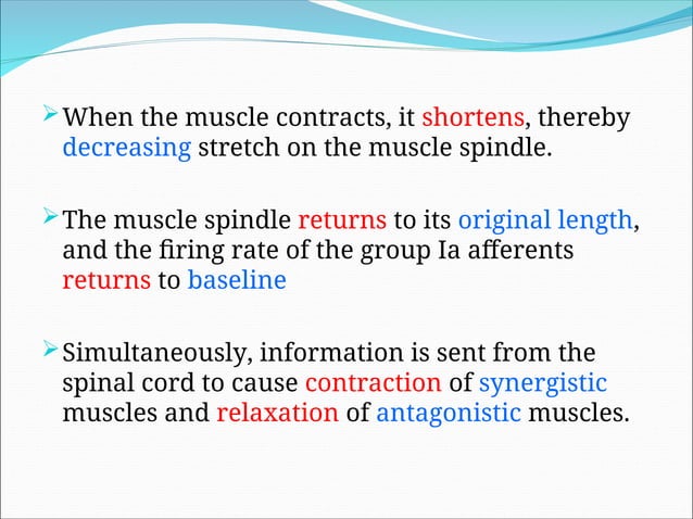 stretch reflex part use, examples, types | PPT