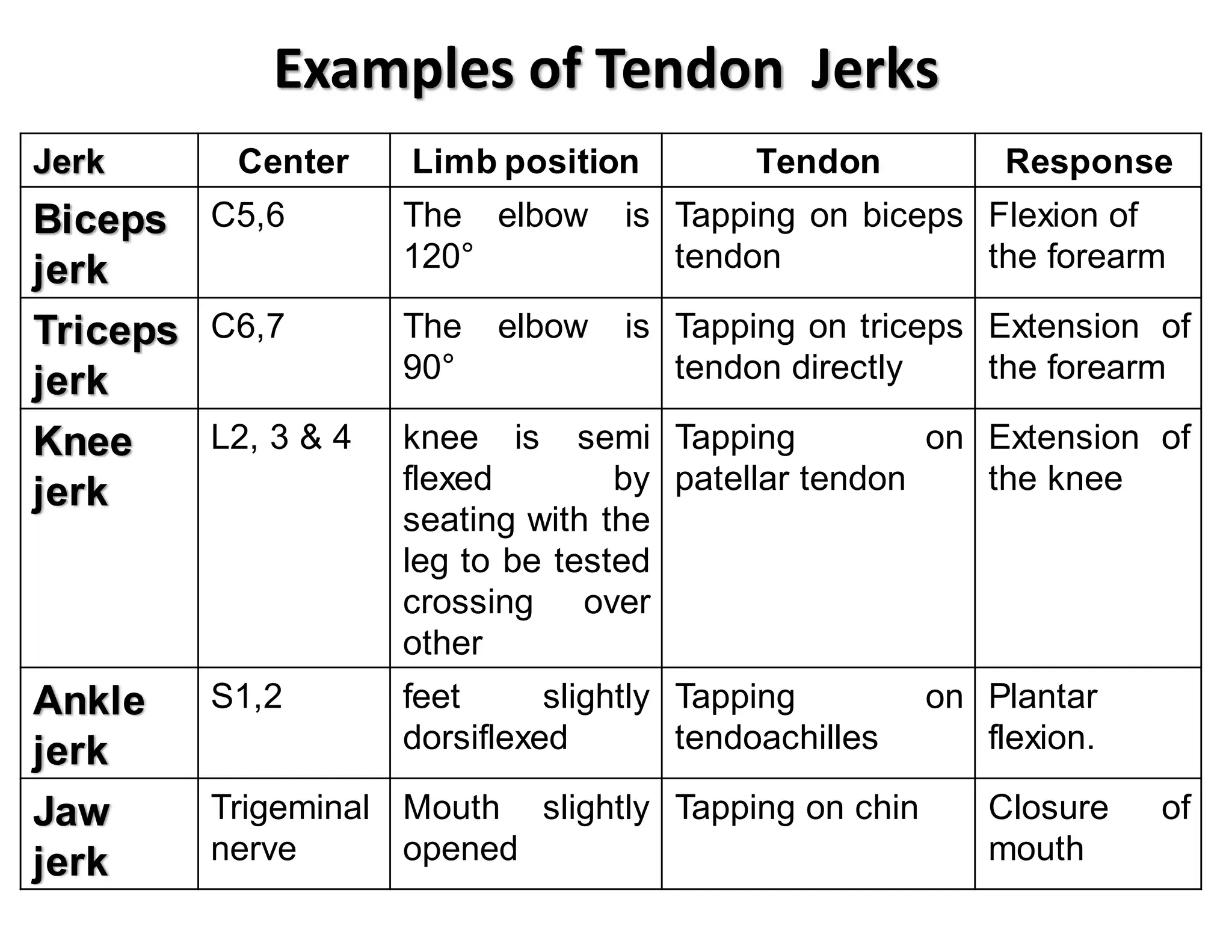 stretch reflex and its principal in spinal cord injury | PDF