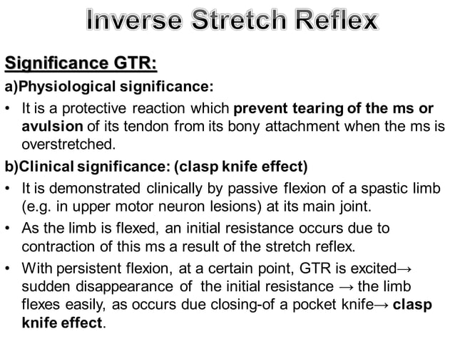 stretch reflex and its principal in spinal cord injury | PPT
