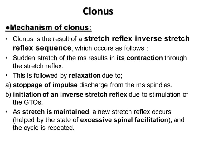 stretch reflex and its principal in spinal cord injury | PPT