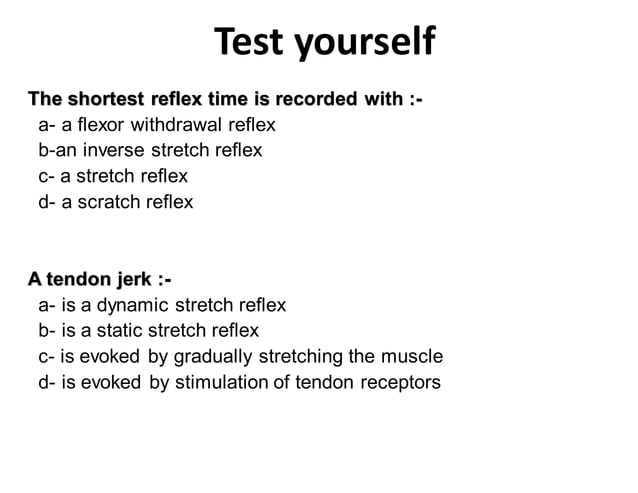 stretch reflex and its principal in spinal cord injury | PPT