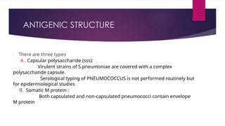 streptococcus pneumoniae.Streptococcus.SlideShare | PPTX