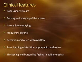 Stricture Urethra | PPTX | Death, Injury, or Military Conflict ...