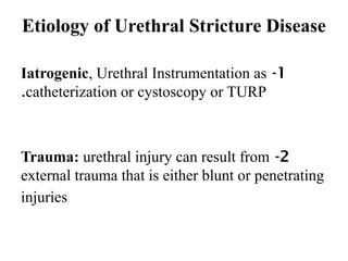 Stricture urethra for students 2024.pptx