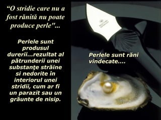 Stridia si_perla | PPS