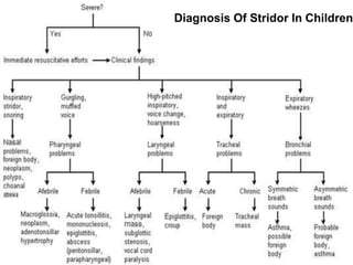 Stridor | PPTX