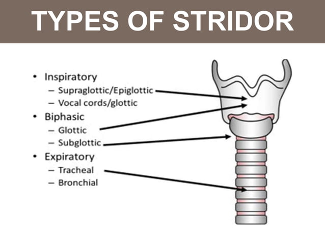 Stridor