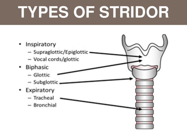 Stridor