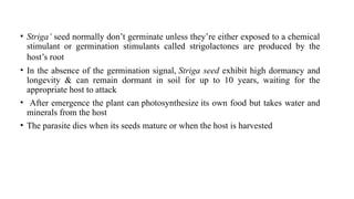 Introduction to Striga(Plant science).pptx
