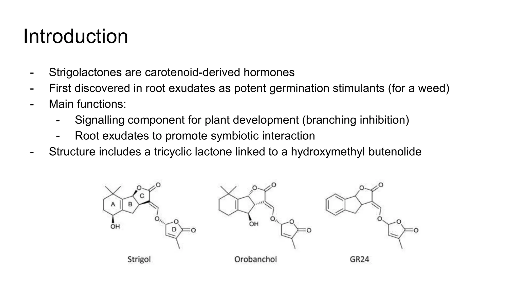 Strigolactones | PPTX