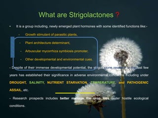 Strigolactones | PPTX