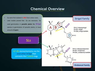 Strigolactones | PPTX