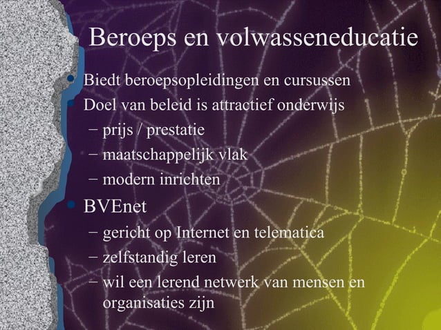 Strijker, A. (1997). Webnet | PPT