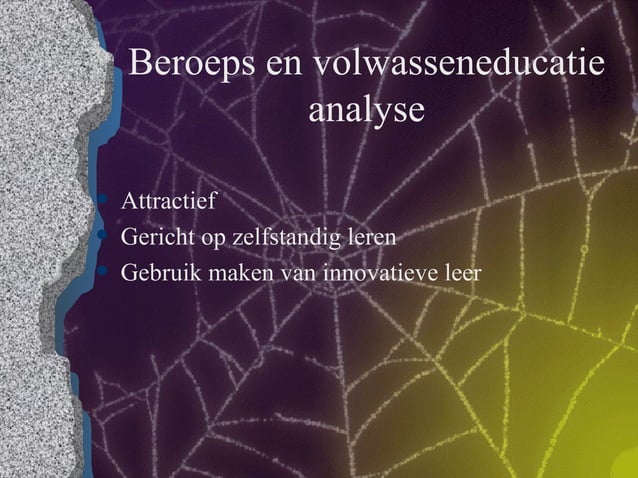 Strijker, A. (1997). Webnet | PPT