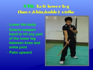Striking techniques | PPT