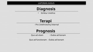 Striktur Urethra bedah urologi power point | PPTX