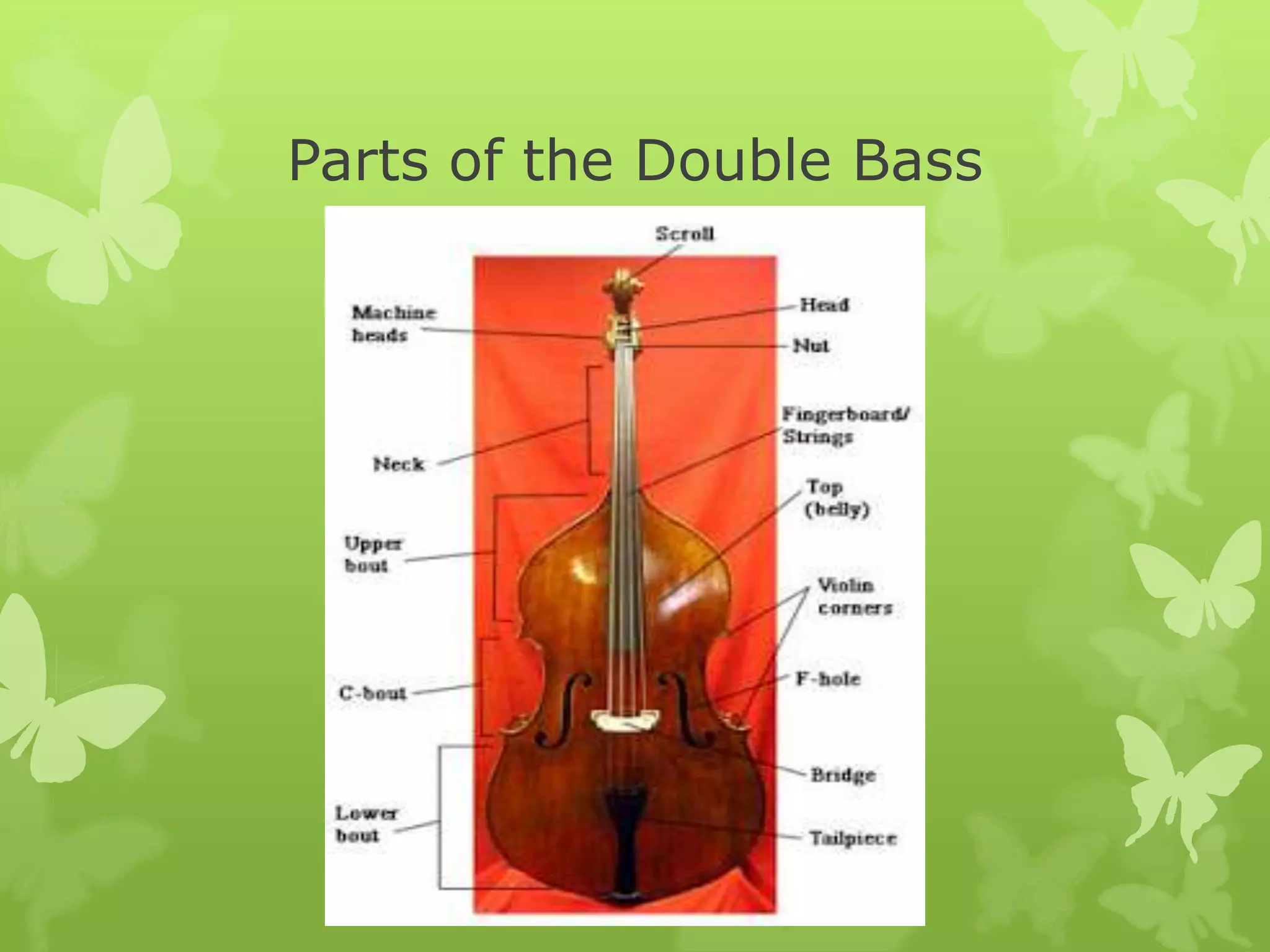 Stringed instruments micro teaching powerpoint | PPTX