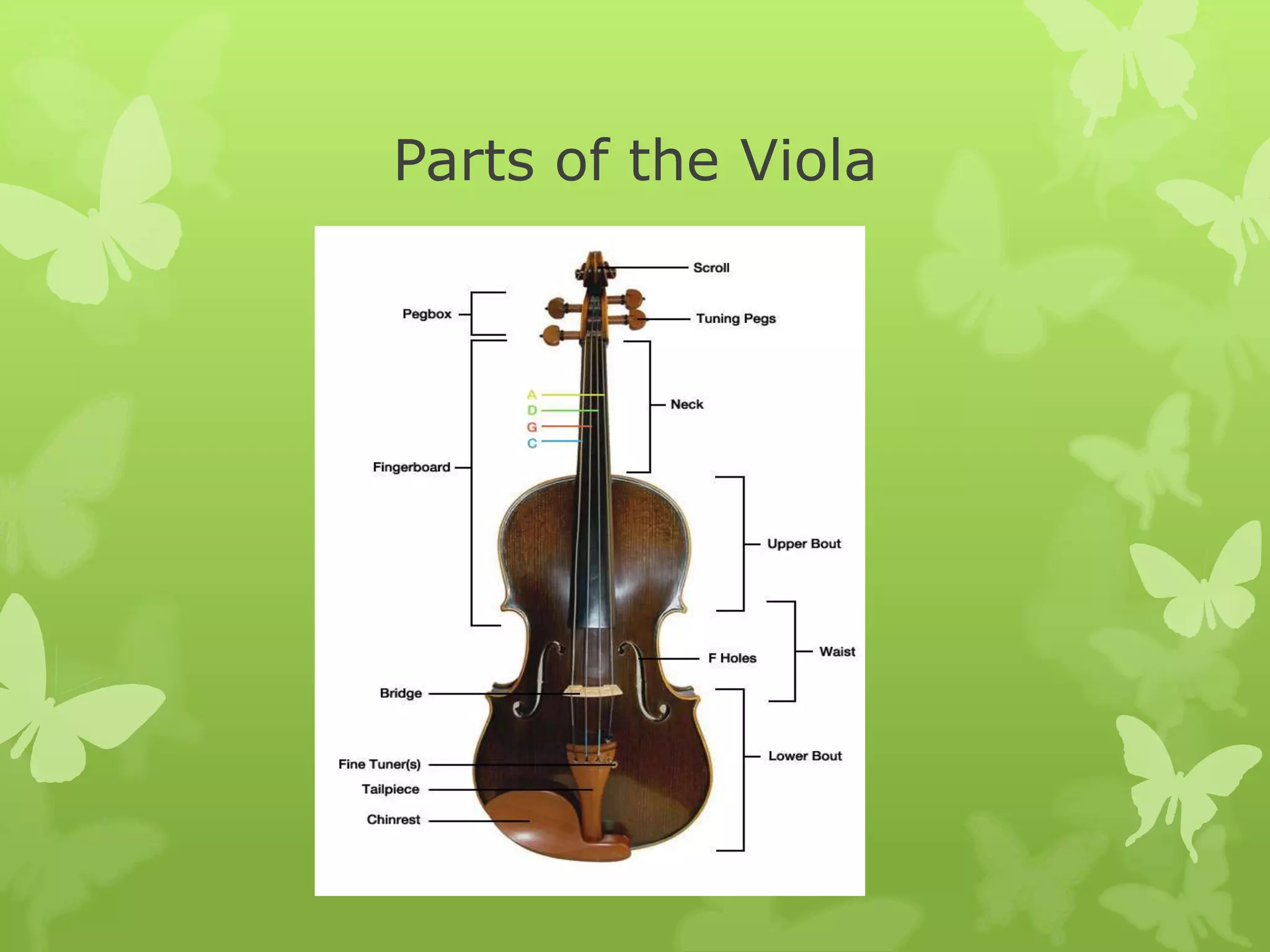 Stringed instruments micro teaching powerpoint | PPTX