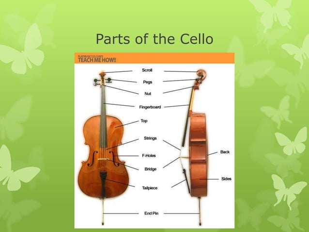 Stringed instruments micro teaching powerpoint | PPTX